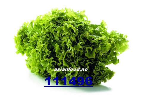 Lollo Biondo 8stk Grønn lollo salat / Cai lollo xanh - Asian Food Import AS