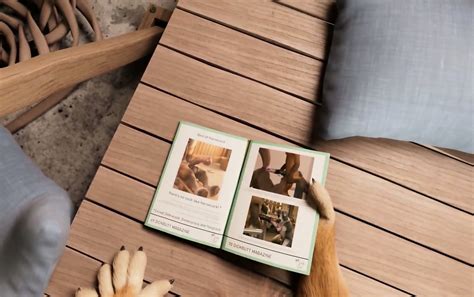 Matt Lion And Zebra Eporner