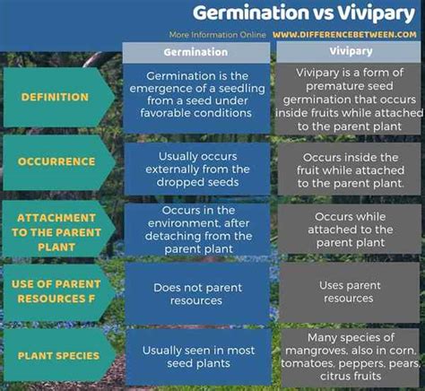 Différence entre la germination et le vivipaire Prodiffs