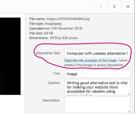 All About Alt Text Comma Chameleon