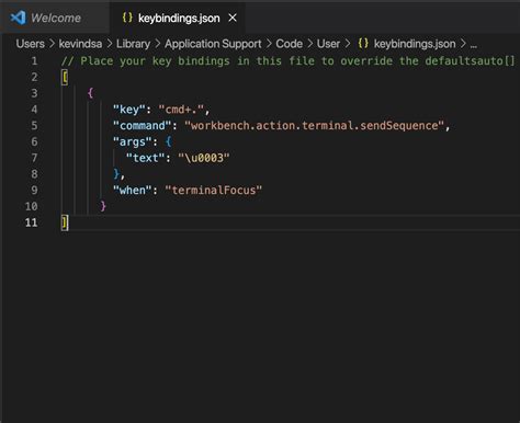 Vscode Macos Ctrlc Interruptkill Terminal Process Kevindsa Medium