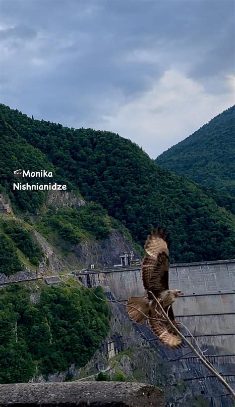 Bavshvta Planeta წვეულების ორგანიზება ზღაპრის გმირების გამოძახება