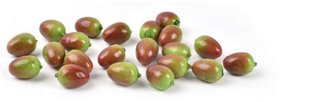 Luckforest Artificial Olives 50 Pcs Fake Olives Lifelike