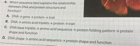 solved 4 which sequence best explains the relationship between dna