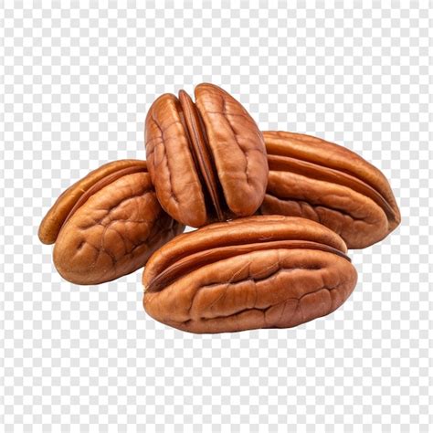 투명한 배경에 고립 된 페칸 무료 Psd 파일