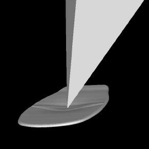 The Model Geometry Of The Indented Cell And The Afm Tip The Length Of Download Scientific