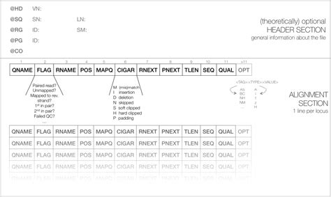 5 Generate Alignments Of Processed Reads Against A Reference Genome