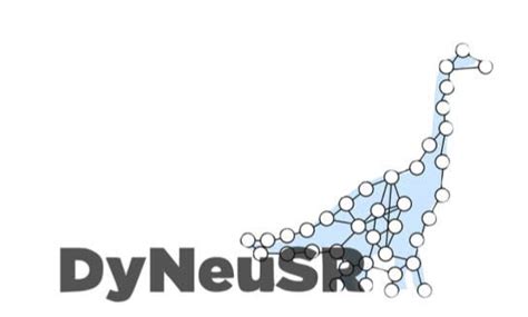 Generating Dynamical Neuroimaging Spatiotemporal Representations Dyneusr Using Topological