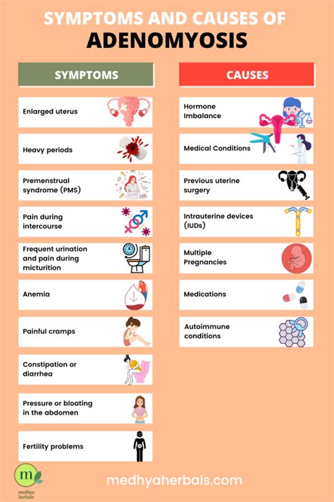 Adenomyosis Diet The Best Foods To Eat For Fertility