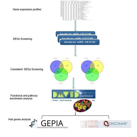 Flow Diagram Of Bioinformatics Analysis Table 1 The Detail Information