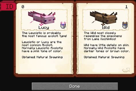 More Axolotl Gallery