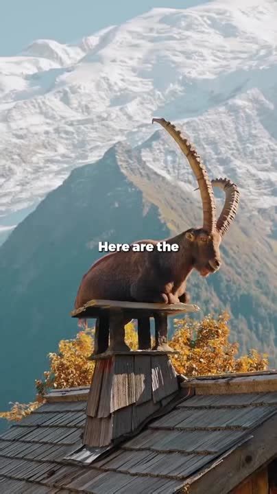 Aditi Chowdhury Posted On Linkedin