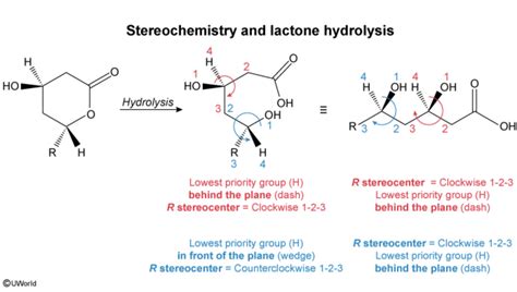 R Both Clockwise And Counterclockwise R Mcat