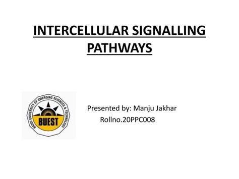 Intercellular Signalling Pathways Pptx