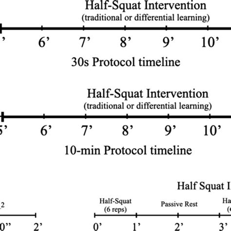 Schematic Representation Of Experimental Design The Protocols Were