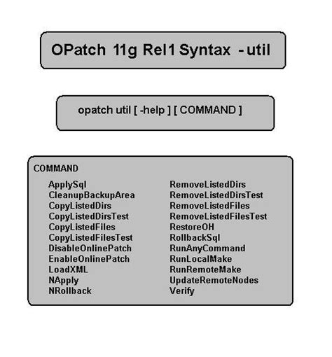 Opatch Oracle 10g 11g Data And Database Management Utilities