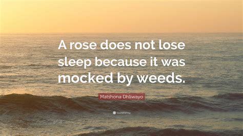 Matshona Dhliwayo Quote A Rose Does Not Lose Sleep Because It Was Mocked By Weeds