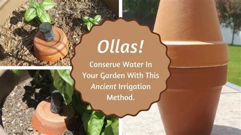 Article Ollas Clay Pot Irrigation Systems Plus Diy Homemade Ollas