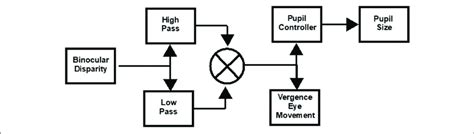 Schematic Of Approach For Model Estimation Of Binocular Download