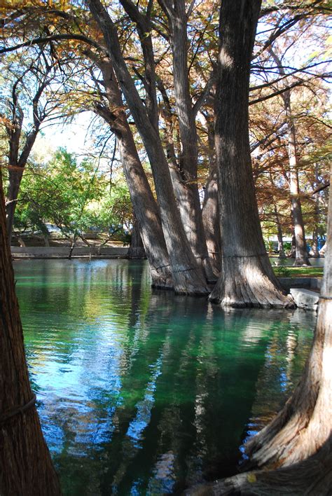 Sabinos Y Ojo De Agua San Marcos River Hierve El Agua Oaxaca El Ojo