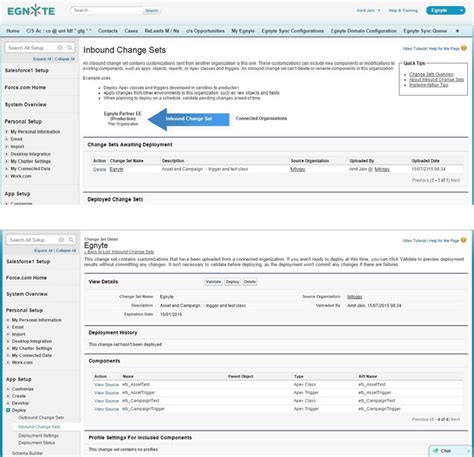 Enabling The Salesforce Integration For Custom Objects Egnyte
