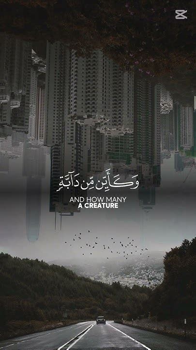 االقران الكريم Youtube