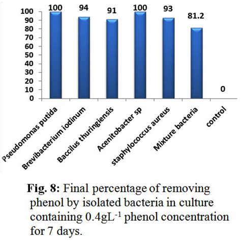 Isolation And Identification Of Phenol Degrading Bacteria From Mangrove Sediments In The Persian