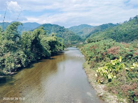 The Lily Hotel The Lily Hotel Added A New Photo