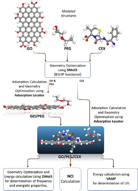 Schematic Presentation Of The Computational Approach As Performed Using Download Scientific