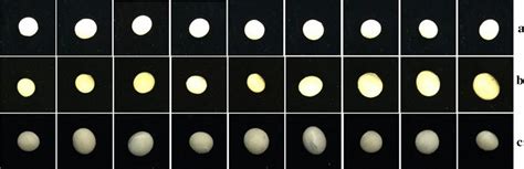The Soybean Seed Images Were Captured In Three Kind Of Illumination
