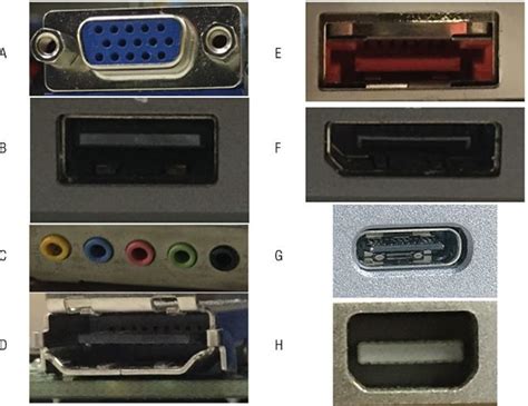 A Chapter 3 Peripherals And Connectors Diagram Quizlet