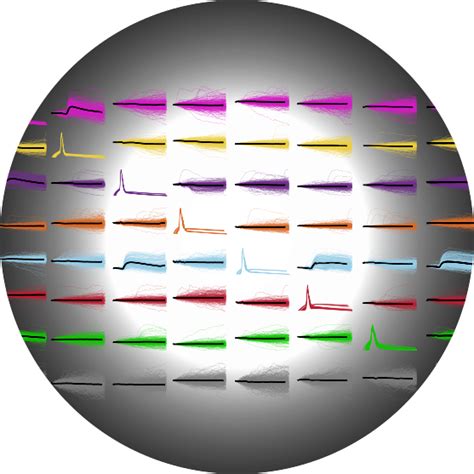 Synaptic Physiology Experimental Methods Brain