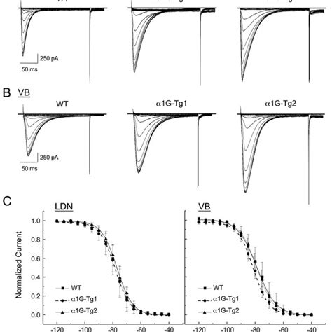Transgenic Mice Exhibit Normal Voltage Dependence Of T Type Calcium