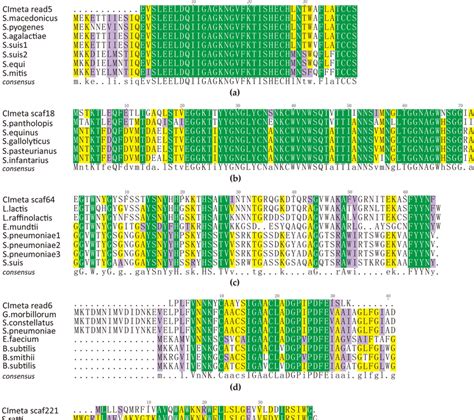 Multiple Sequence Alignment Of Identified Amps With Public Bacteriocins Download Scientific