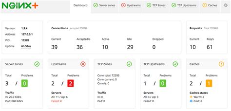 nginx the essential tool for high traffic websites