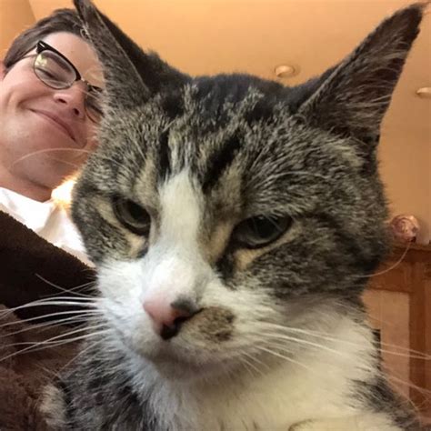 Noah Mclaughlin Youtube