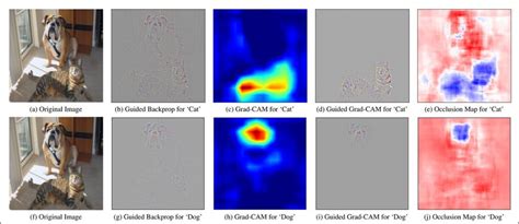 Mapping The Mysteries Of The Latent Space With Class Activation Maps Metaphysic Ai