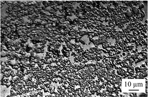 The Microstructure Of Metal Matrix Composite Coating Of Stellite Cusn Download Scientific