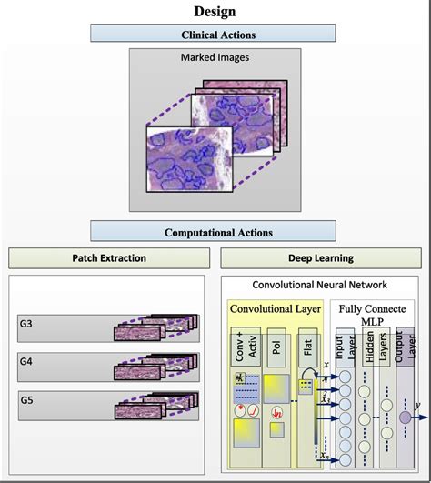 The Steps Of The Design With Their Corresponding Illustrations 1st Download Scientific Diagram