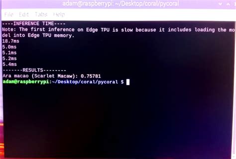 Everything About The Google Coral USB Accelerator PiCockpit