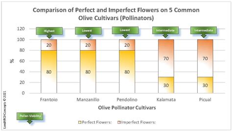 Olive Cultivar Cross Compatibility Pollination Matrix Important Preamble Land Arch Concepts