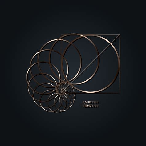 Fibonacci Sequence Circle Golden Ratio Geometric Shapes Spiral Snail