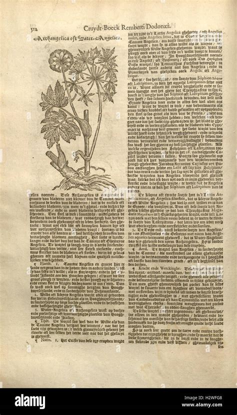 A Botanical Text Detailing The Latest Improvements In The