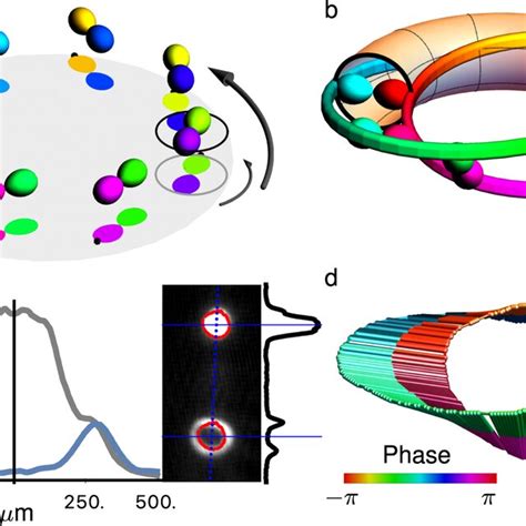 Spin Orbit Invariant Polar Phase Wavefunction ζp A Spherical Harmonic Spin Orbit Invariant Polar Phase Wavefunction ζp A Spherical Harmonic