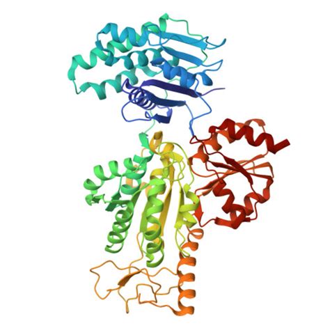 Rcsb Pdb 6n2o 2 Oxoglutarateferredoxin Oxidoreductase From
