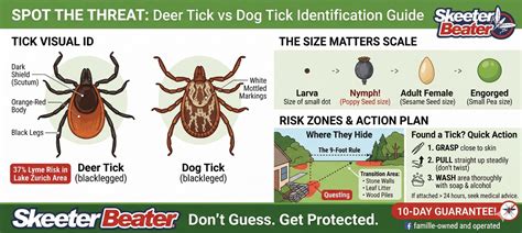 Deer Ticks The Complete Guide To Identification Risk And Control