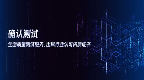 软件第三方测评机构验收测试安全测评 掌动智能