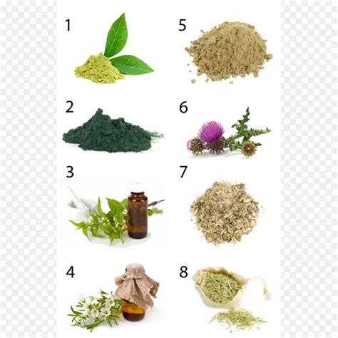 植物提取物png图片素材下载 图片编号5677022 Png素材网