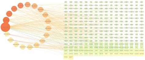 Active Component Target Network Download Scientific Diagram