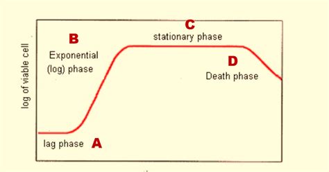 Bacteria Growth Chart